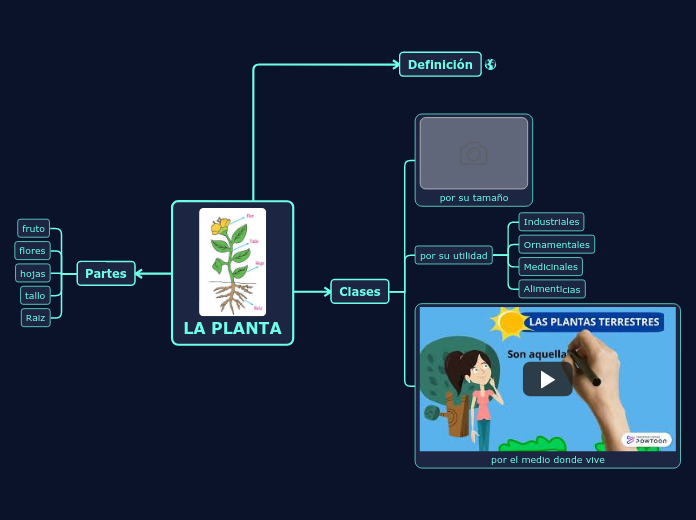 LA PLANTA - Mind Map